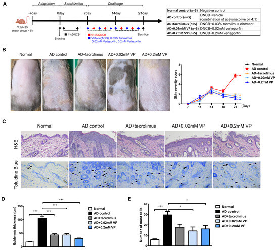 IJMS | Free Full-Text | Dysregulated Hippo Signaling Pathway and YAP ... IJMS | Free Full-Text | Dysregulated Hippo Signaling Pathway and YAP ...