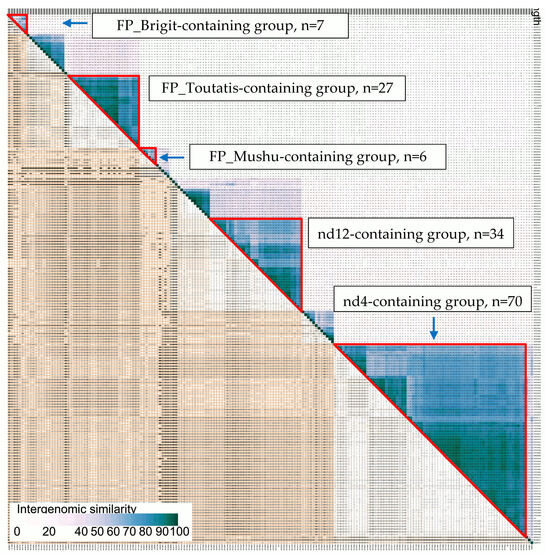 Tentaclins—A Novel Family of Phage Receptor-Binding Proteins That Can ...