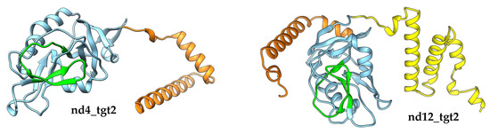 Tentaclins—A Novel Family of Phage Receptor-Binding Proteins That Can ...