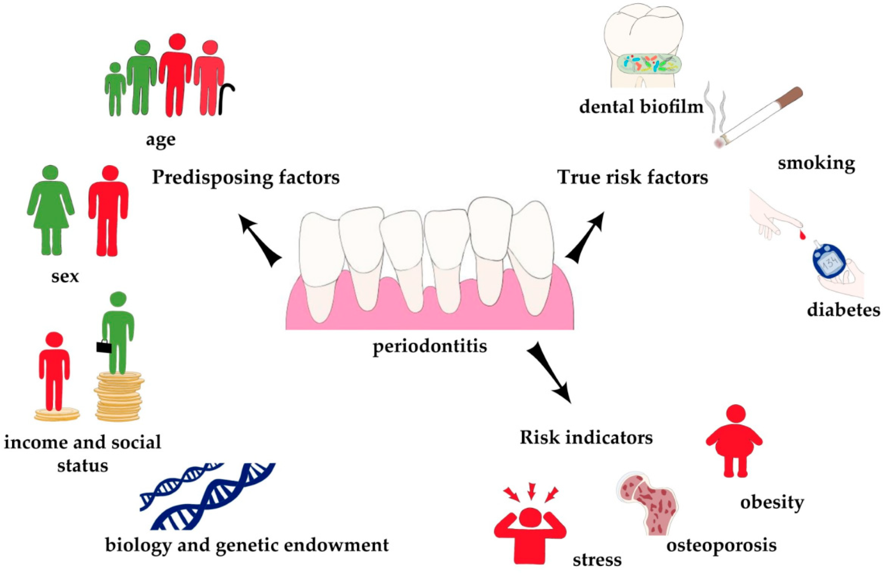 CCL5’s Role in Periodontal Disease: A Narrative Review