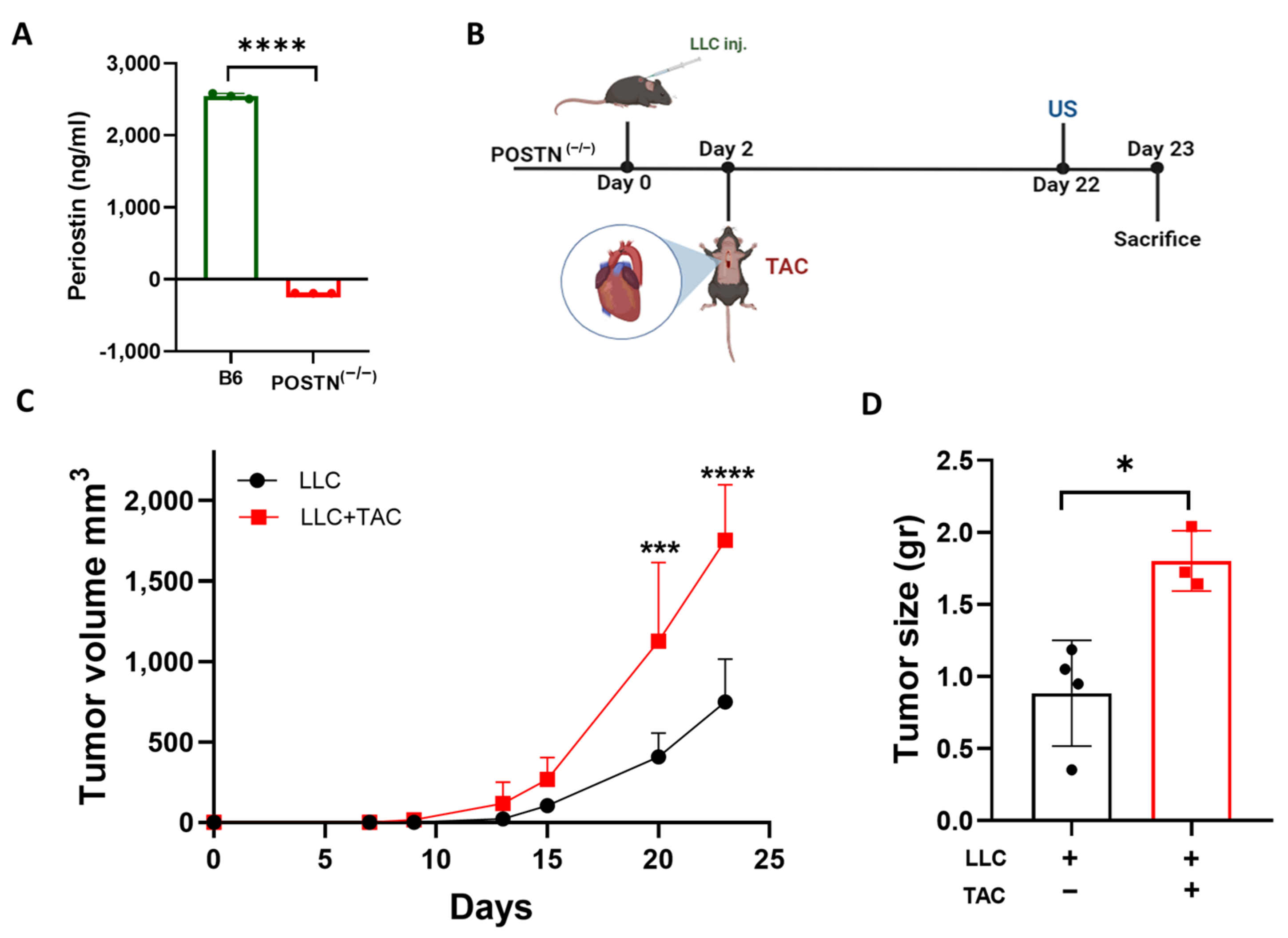 IJMS | Free Full-Text | Heart Failure Promotes Cancer Progression in an ...