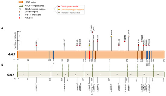 Classic Galactosemia: Clinical and Computational Characterization of a ...