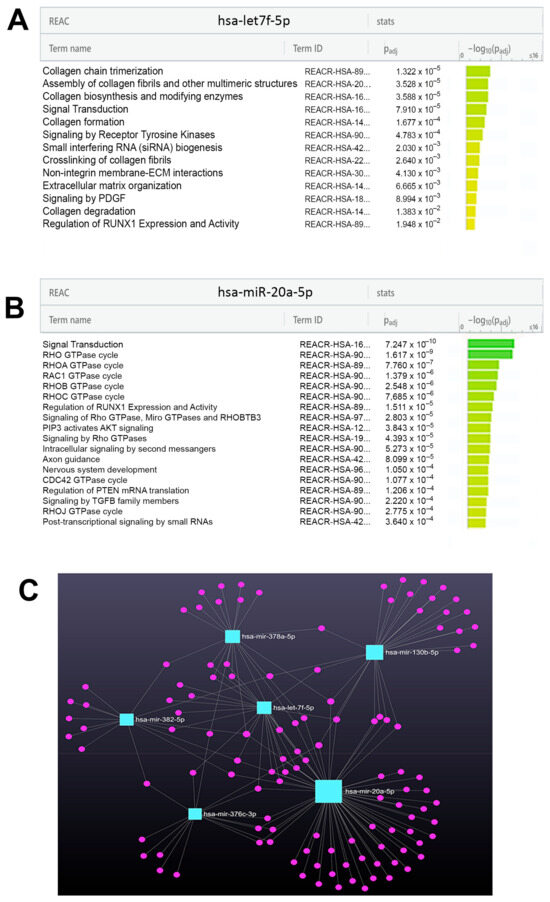 The Profiling of 179 miRNA Expression in Serum from Limb Girdle ...