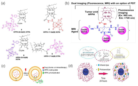 Recent Advances in the HPPH-Based Third-Generation Photodynamic Agents ...