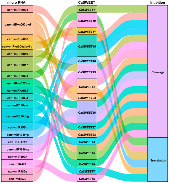 Genome-Wide Identification and Expression Analysis of the SWEET Gene ...