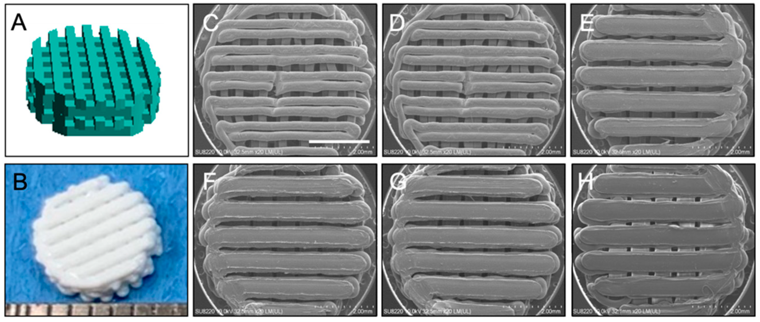Surface Modification of Polylactic Acid Bioscaffold Fabricated via 3D ...