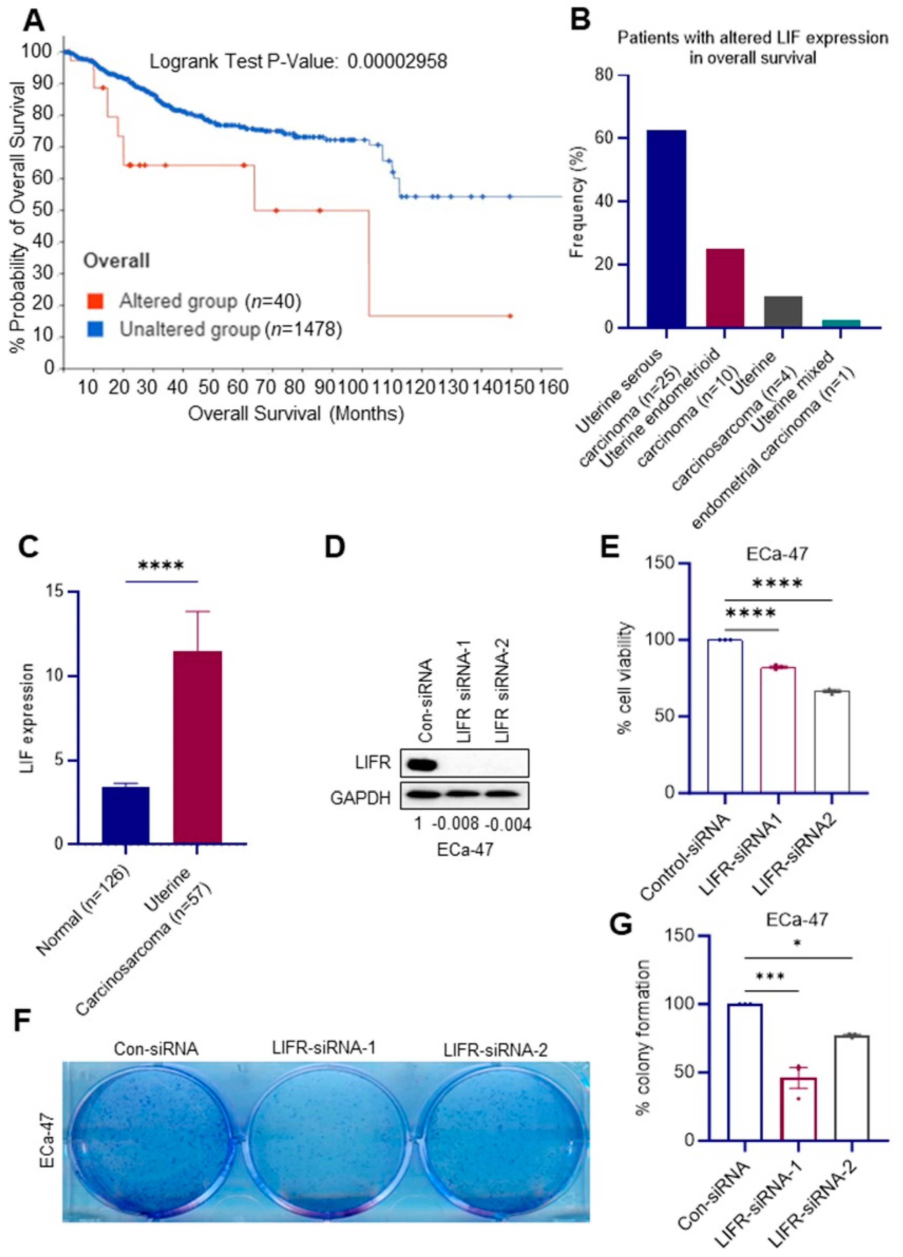 The LIFR Inhibitor EC359 Effectively Targets Type II Endometrial Cancer ...