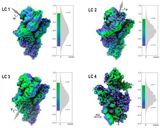 High-Resolution Structure and Internal Mobility of a Plant 40S ...