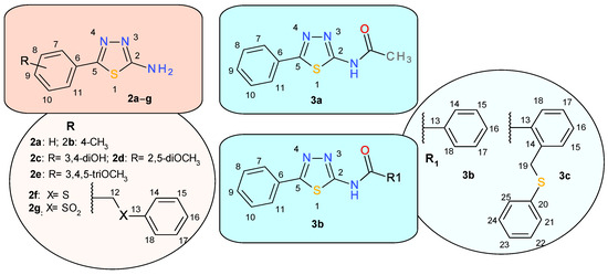 Synthesis of 1,3,4-Thiadiazole Derivatives and Their Anticancer Evaluation