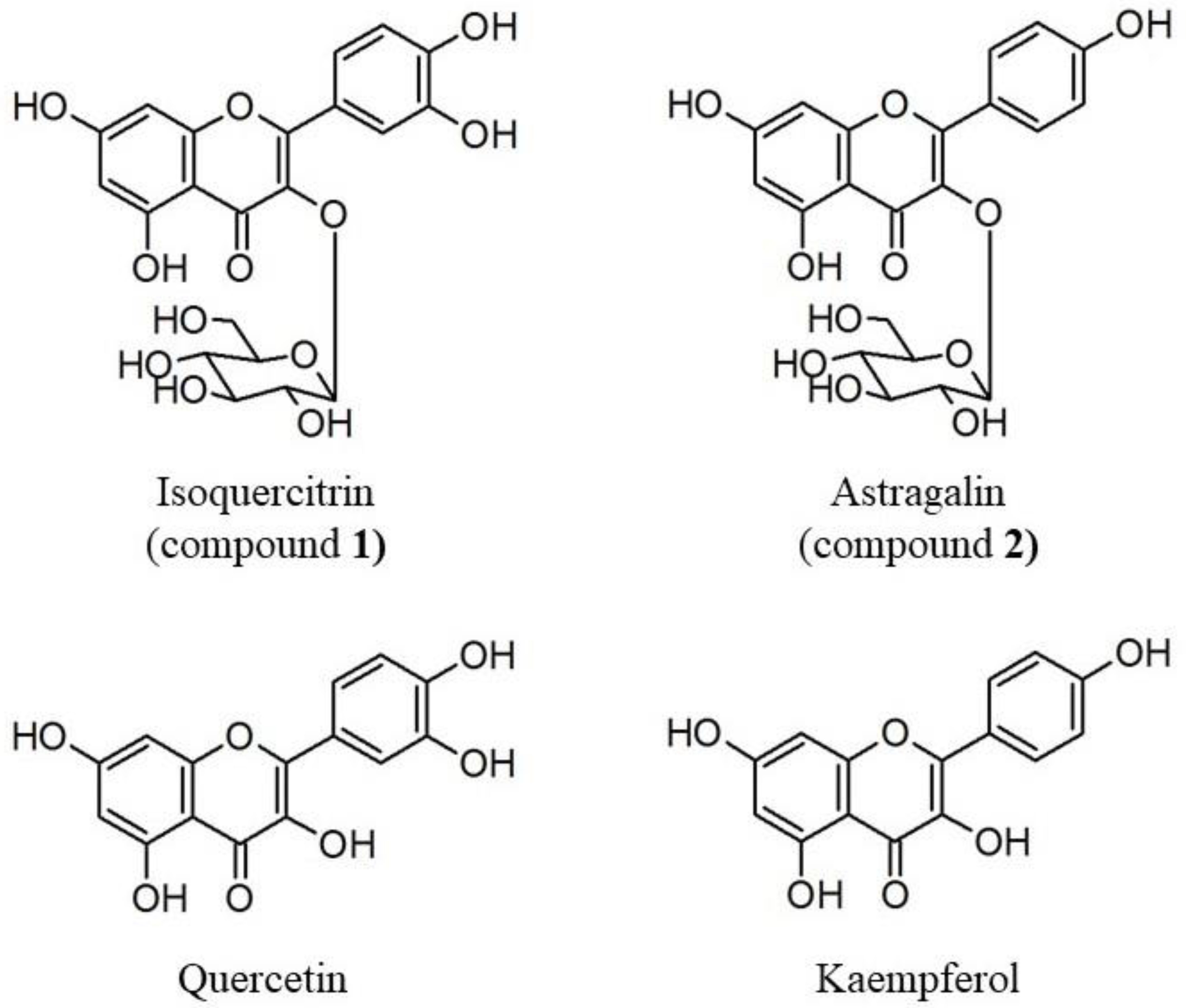 Isolation of Pro-Osteogenic Compounds from Euptelea polyandra That ...