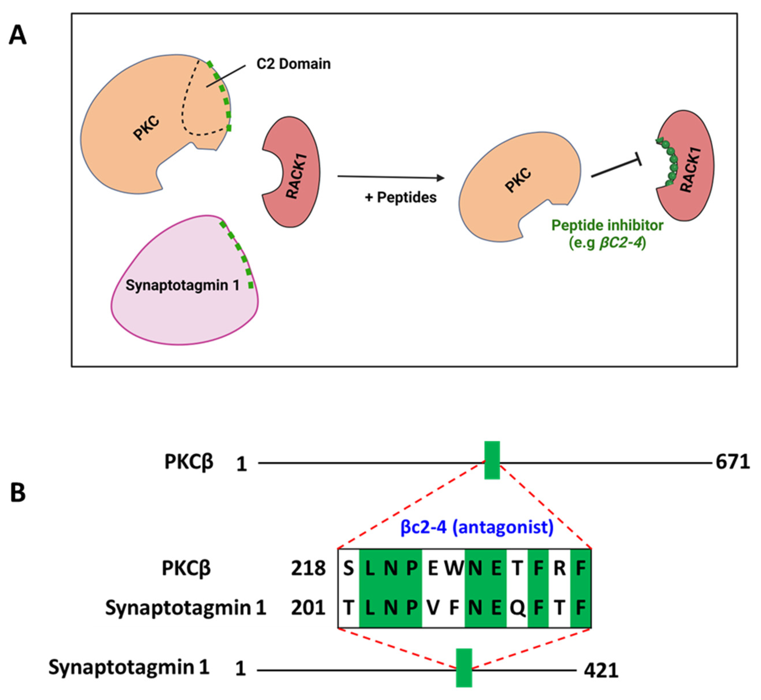An Update on Protein Kinases as Therapeutic Targets—Part II: Peptides as Allosteric Protein ...
