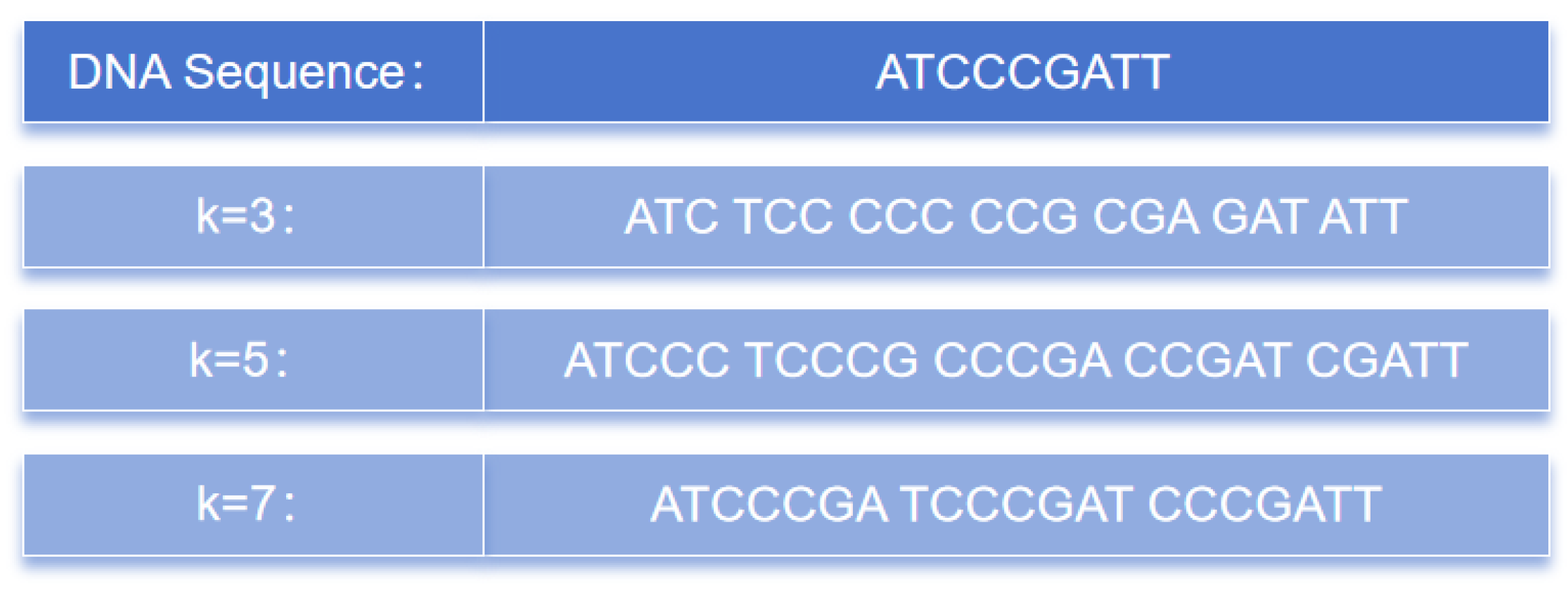 Enhancer Recognition: A Transformer Encoder-Based Method with WGAN-GP for Data Augmentation