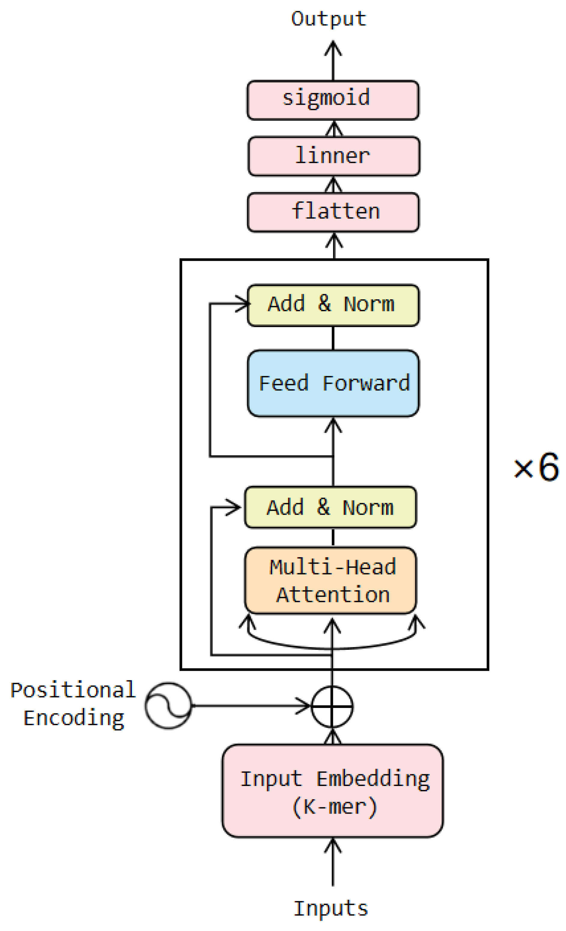 Enhancer Recognition A Transformer Encoder Based Method With Wgan Gp For Data Augmentation