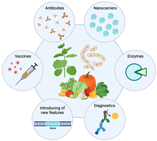 IJMS | Free Full-Text | Green Biologics: Harnessing the Power of Plants ...