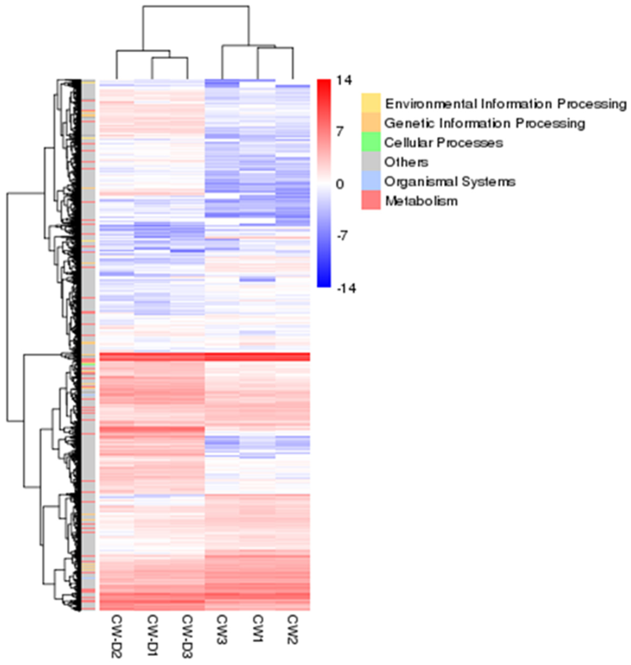 IJMS | Free Full-Text | Based on Transcriptome Sequencing of Cell Wall ...