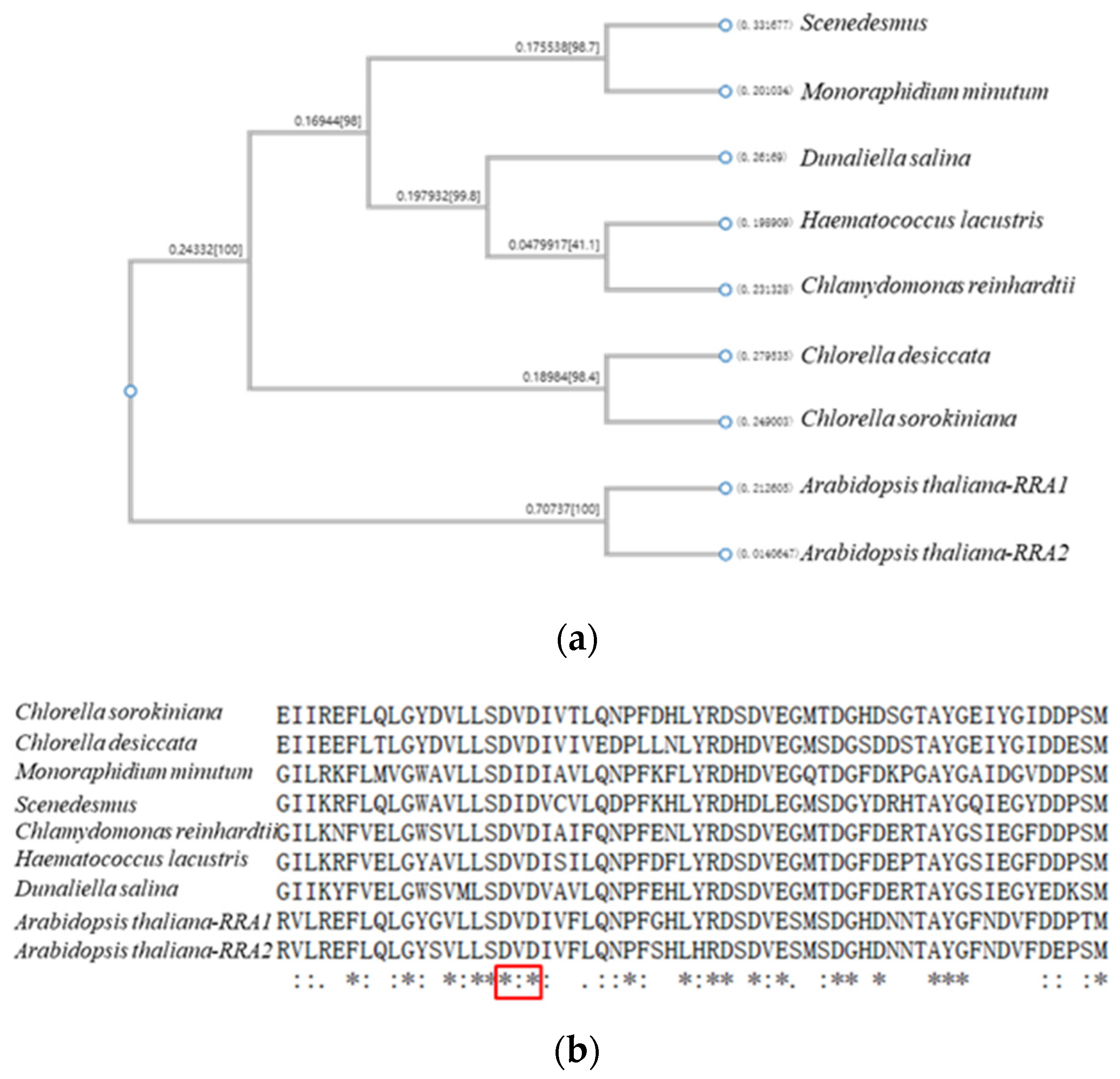 IJMS | Free Full-Text | Based on Transcriptome Sequencing of Cell Wall ...