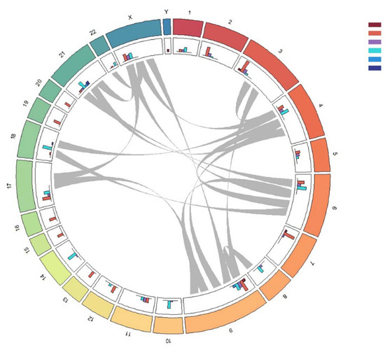 DNA Copy Number Alterations and Copy Neutral Loss of Heterozygosity in ...