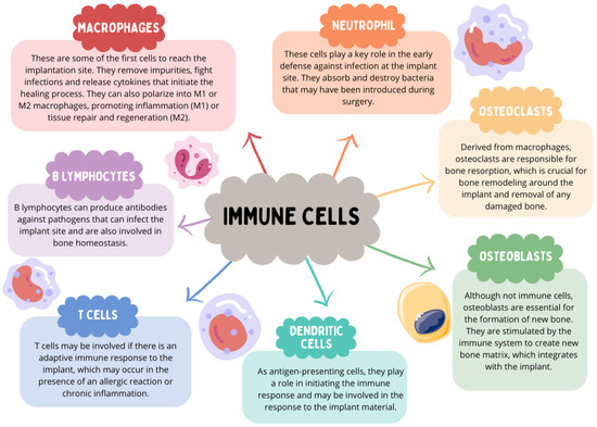 How Can Imbalance in Oral Microbiota and Immune Response Lead to Dental ...