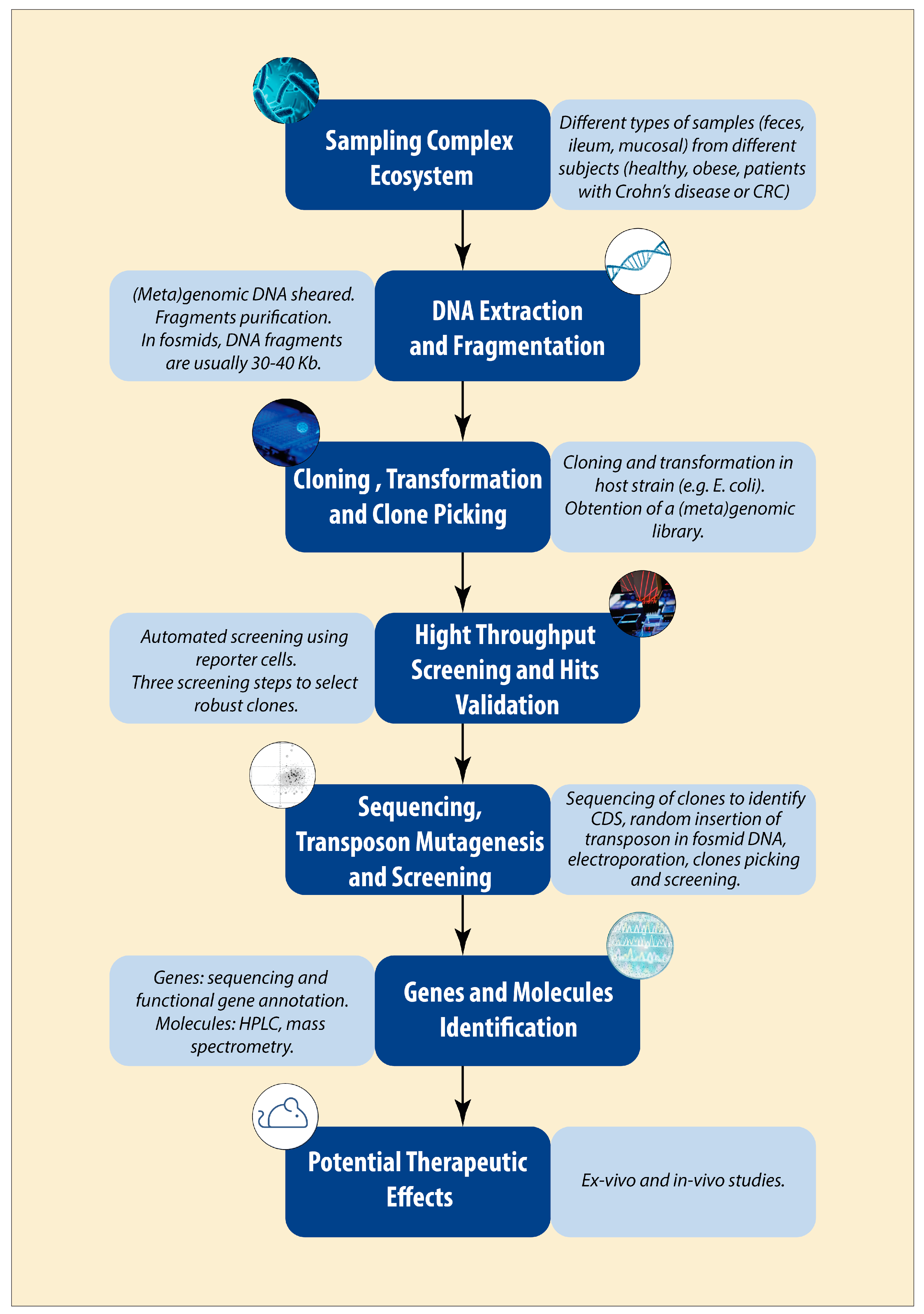 An Insight into Functional Metagenomics: A High-Throughput Approach to ...