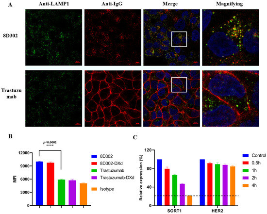 Generation and Characterization of SORT1-Targeted Antibody–Drug ...
