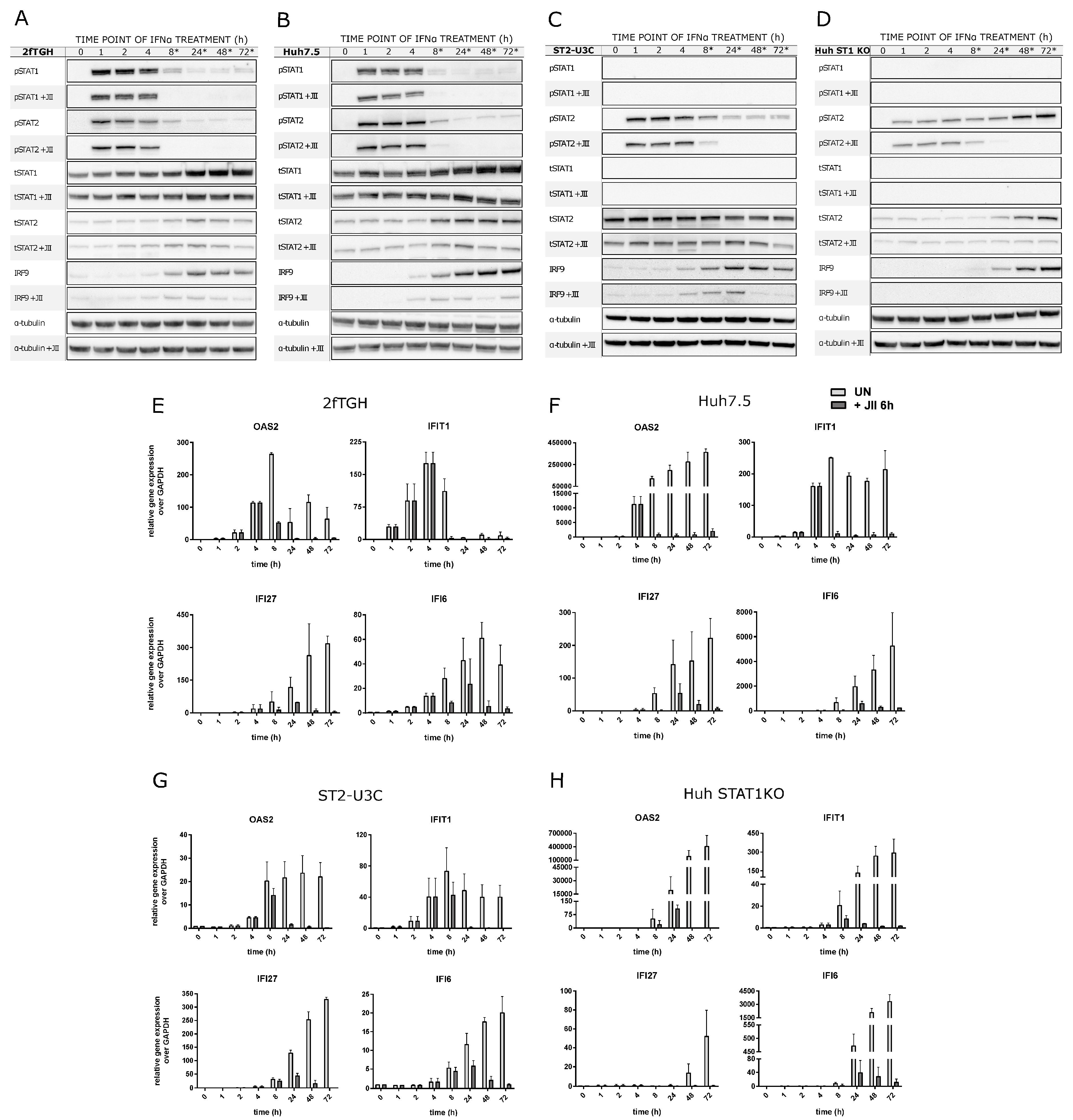 ISGF3 and STAT2/IRF9 Control Basal and IFN-Induced Transcription ...
