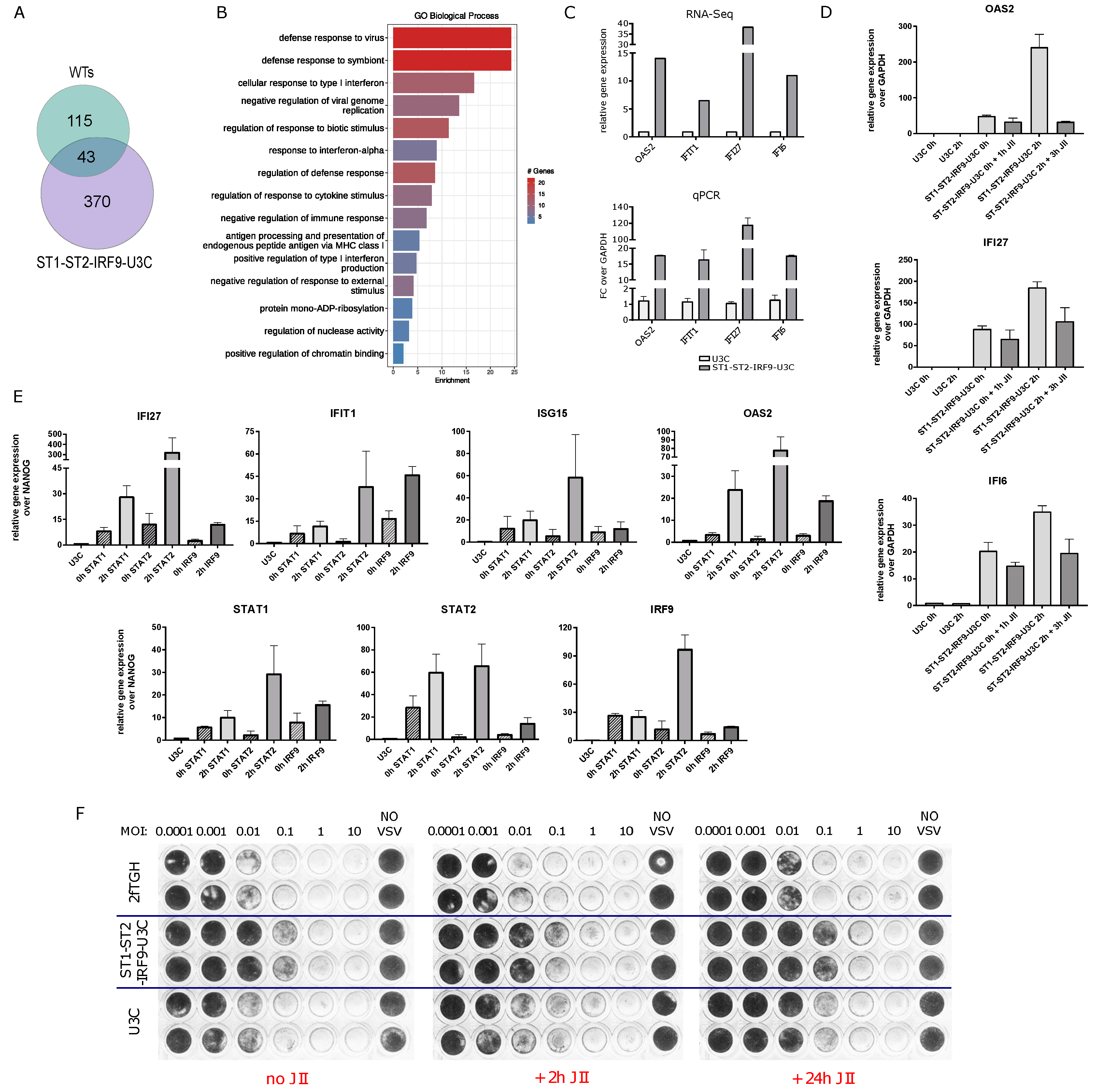 ISGF3 and STAT2/IRF9 Control Basal and IFN-Induced Transcription ...