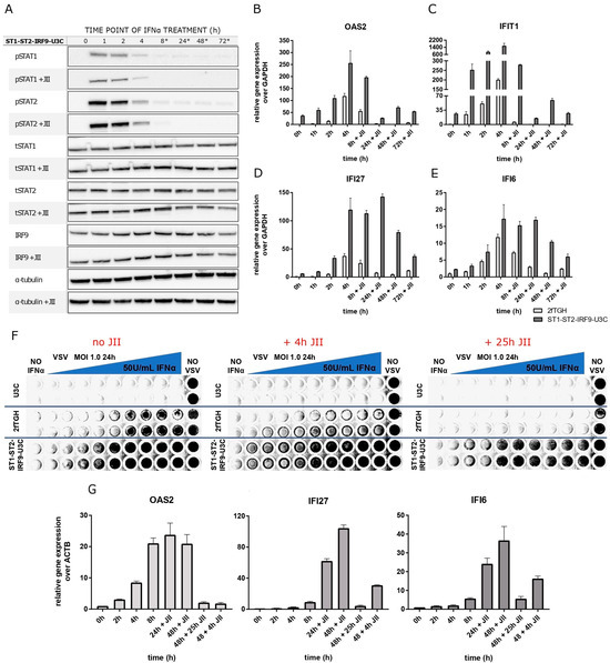 ISGF3 and STAT2/IRF9 Control Basal and IFN-Induced Transcription ...