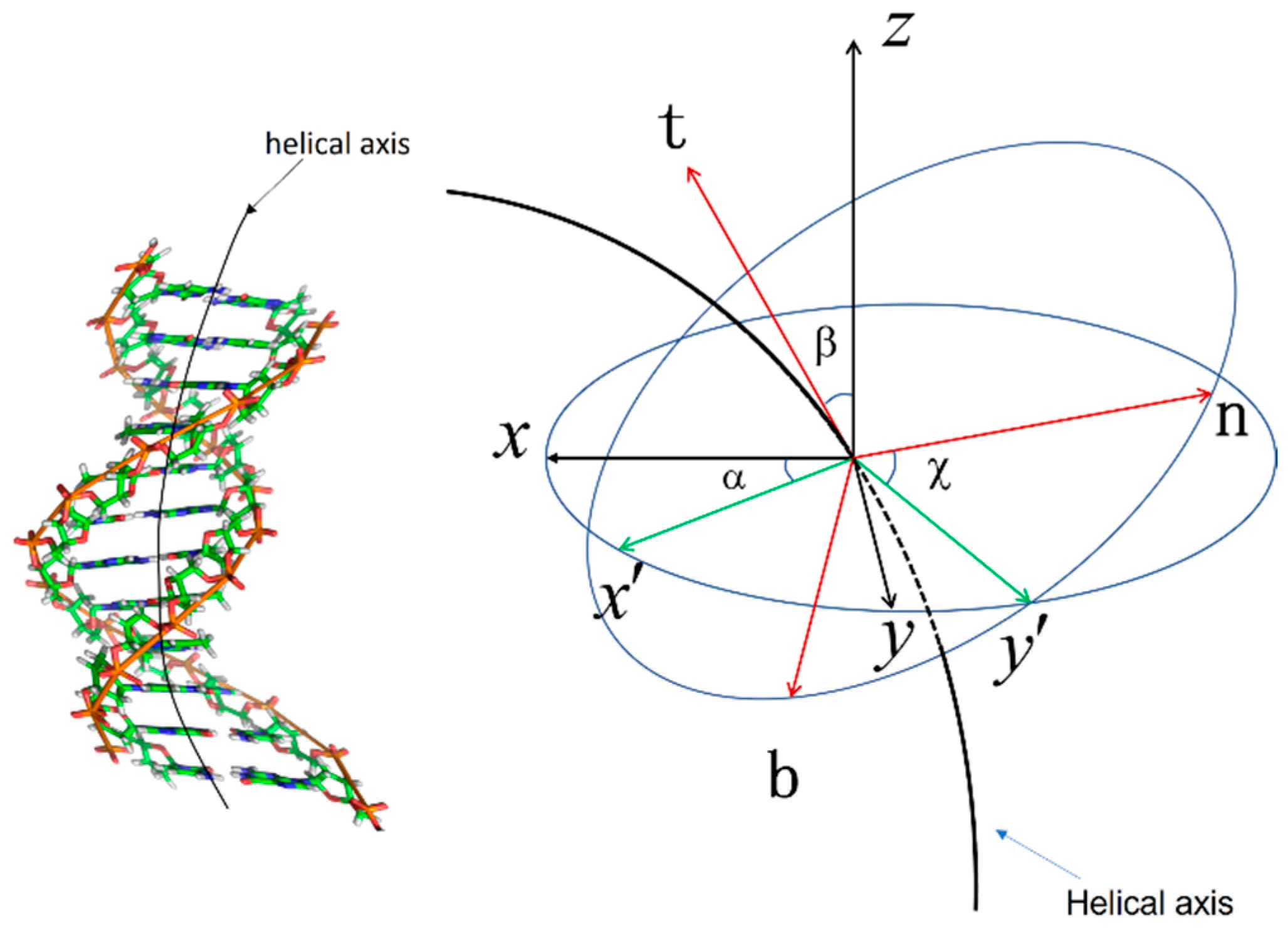 Exploration of the Character Representation of DNA Chiral Conformations ...