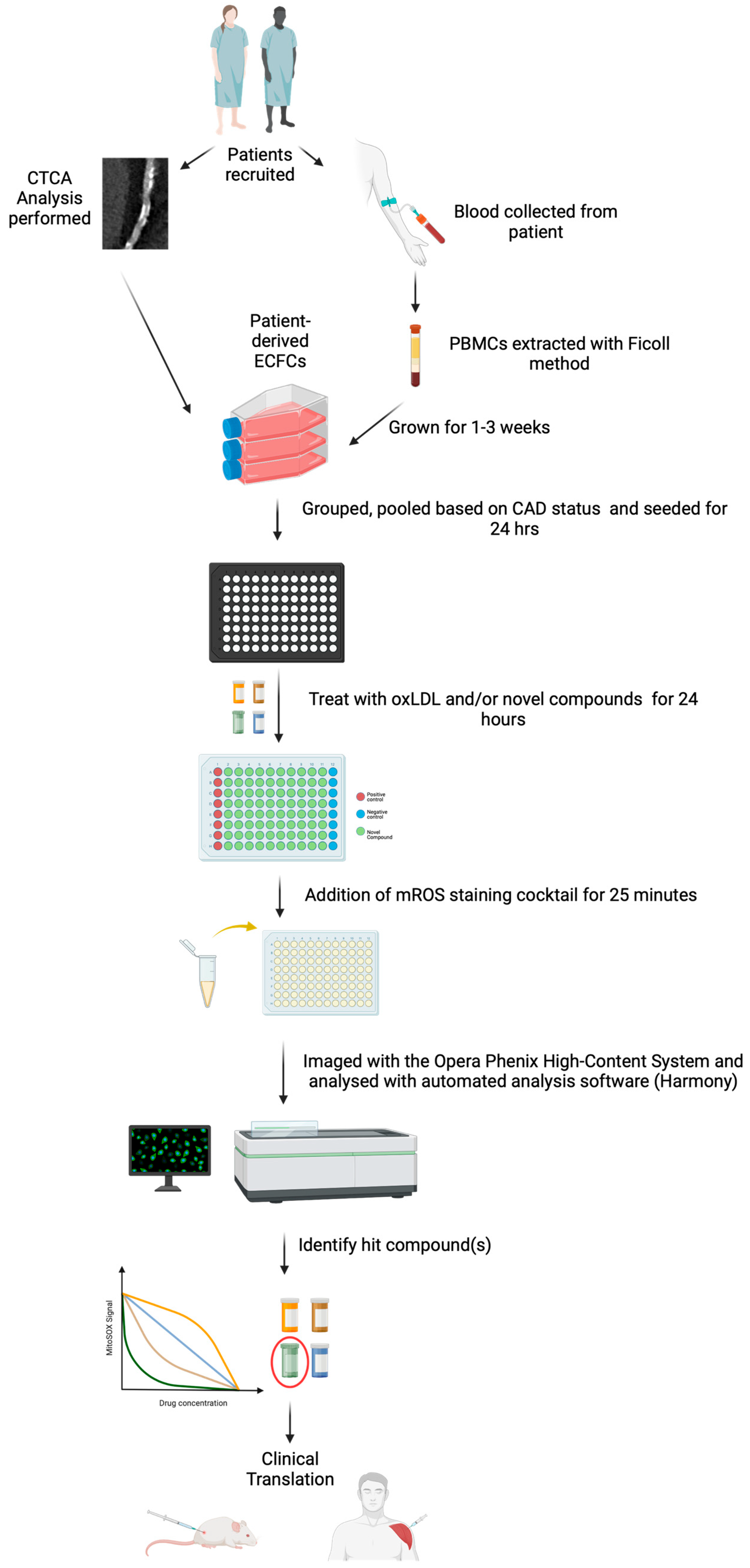 High-Throughput Measure of Mitochondrial Superoxide Levels as a Marker ...