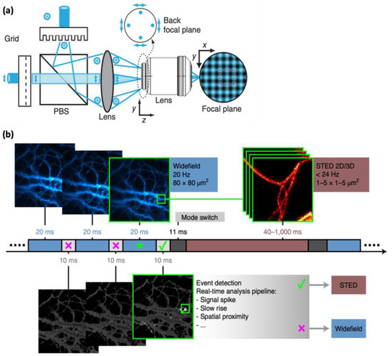 Pushing the Resolution Limit of Stimulated Emission Depletion Optical ...