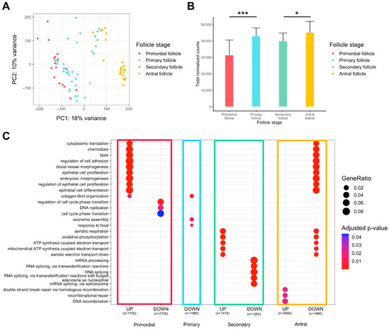 Overview of Gene Expression Dynamics during Human Oogenesis ...