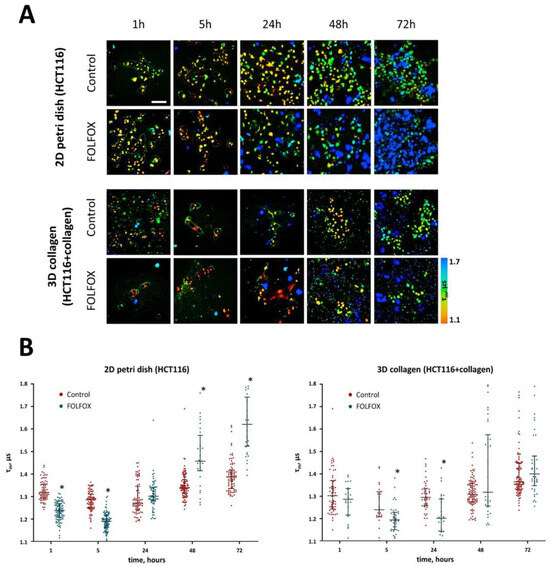 Monitoring the Intracellular pH and Metabolic State of Cancer Cells in ...