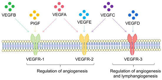 Vascular Endothelial Growth Factor A VEGFA Inhibition: An Effective Treatment Strategy for Psoriasis