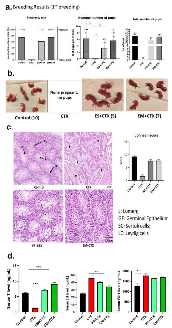 Fertility Protection, A Novel Concept: Umbilical Cord Mesenchymal Stem ...