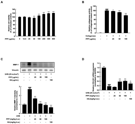 Porcine Placenta Peptide Inhibits UVB-Induced Skin Wrinkle Formation ...
