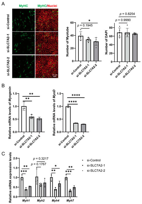 Integrated Amino Acids and Transcriptome Analysis Reveals Arginine ...