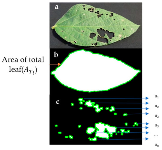 Deep Learning Model for Classifying and Evaluating Soybean Leaf Disease ...