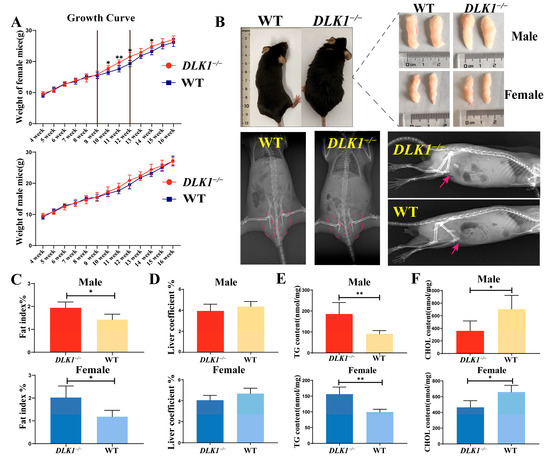 Effects of Adipose Tissue-Specific Knockout of Delta-like Non-Canonical ...