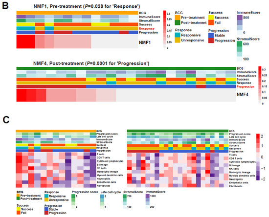 Longitudinal Transcription Profiling of Bladder Cancers Dictate the ...