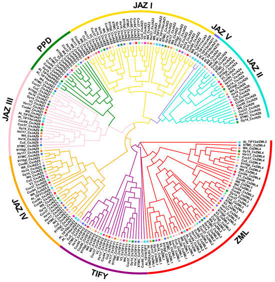 Pan-Genome Analysis of TIFY Gene Family and Functional Analysis of ...