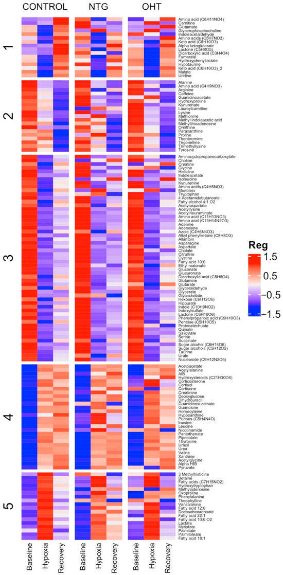 Distinct Metabolic Profiles of Ocular Hypertensives in Response to Hypoxia