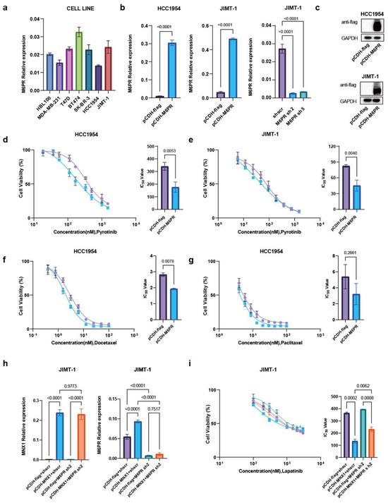 MNX1 Promotes Anti-HER2 Therapy Sensitivity via Transcriptional ...
