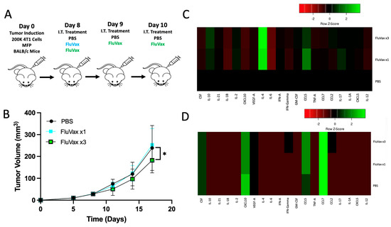 IJMS | Free Full-Text | Intratumoral Influenza Vaccine Administration ...