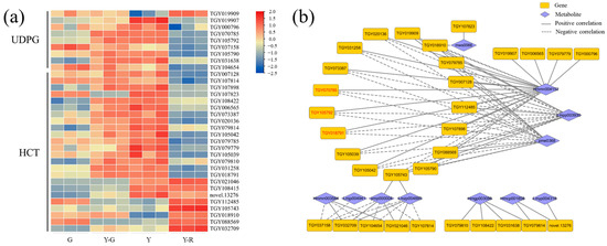 IJMS | Free Full-Text | Integrated Analysis of Metabolome and Transcriptome Revealed Different ...