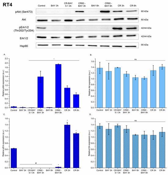 The Potential of Congo Red Supplied Aggregates of Multitargeted ...