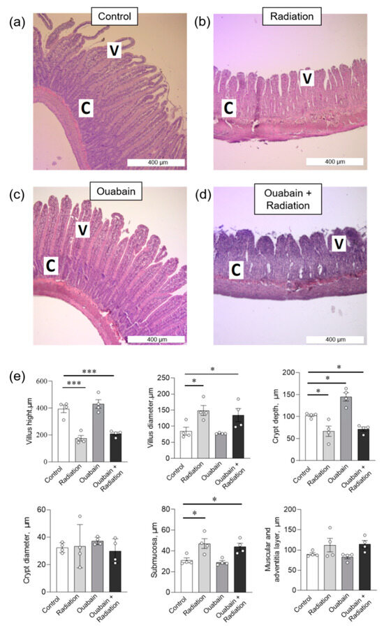 Chronic Ouabain Targets Pore-Forming Claudin-2 and Ameliorates ...