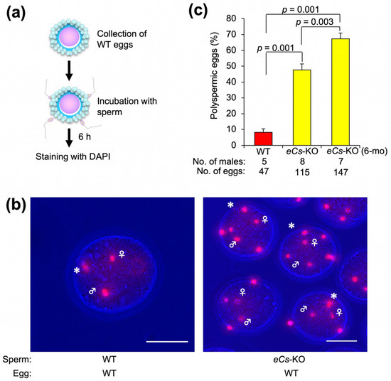 Overdue Calcium Oscillation Causes Polyspermy but Possibly Permits ...