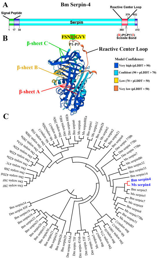Serpin-4 Negatively Regulates Prophenoloxidase Activation and ...