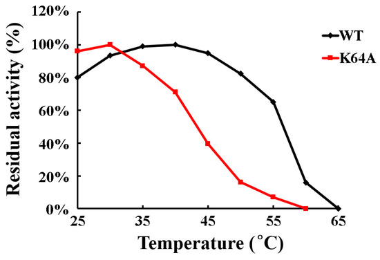 Conserved Residues Lys64 and Glu78 at the Subunit Surface of Tau ...