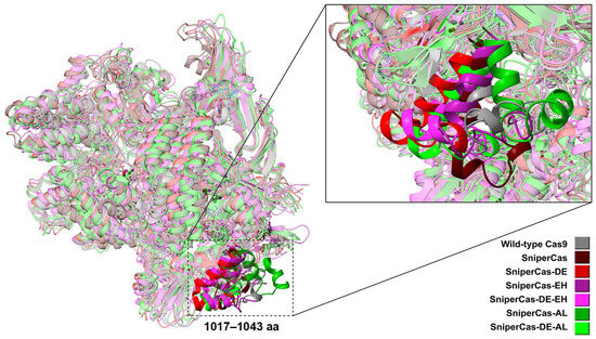 Increasing the Activity of the High-Fidelity SpyCas9 Form in Yeast by ...
